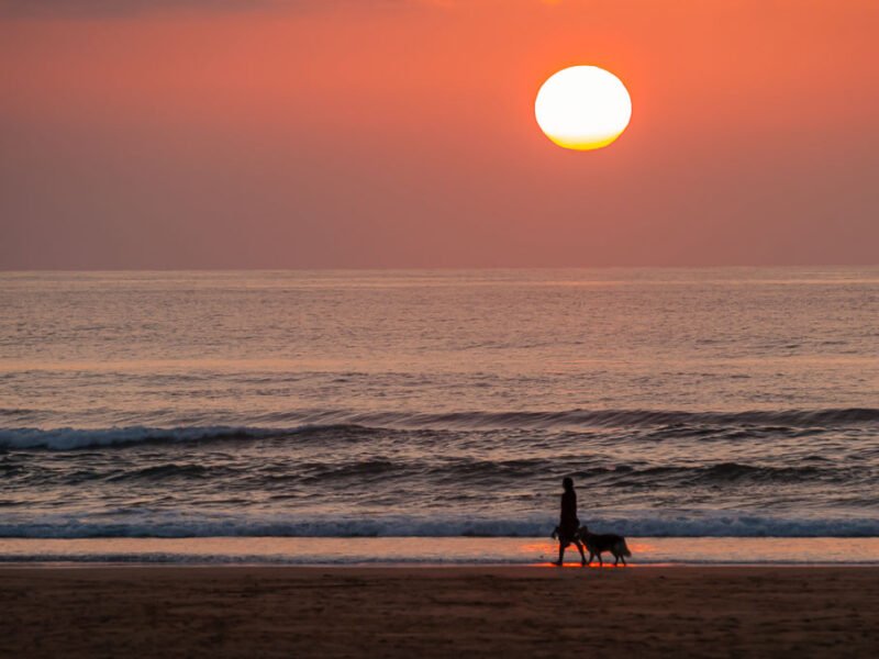 ¿Cuál es el sentido de tu ocio? - Manuel Cuenca